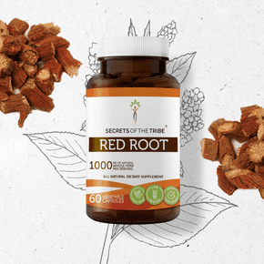 Red Root Herb