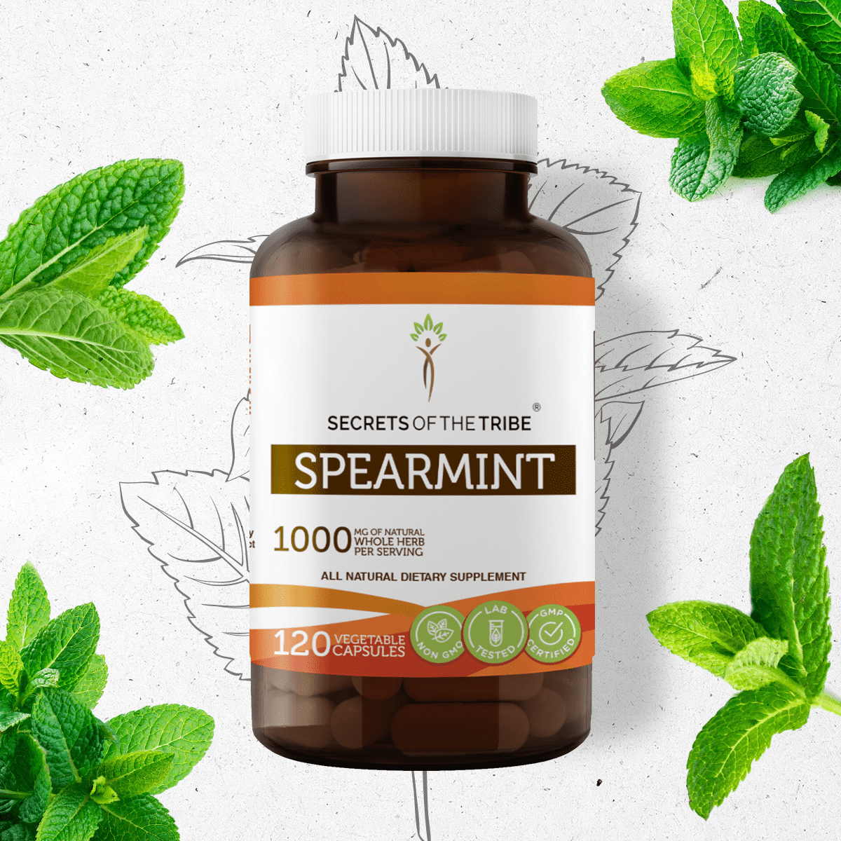 Secrets of the Tribe Spearmint Capsules Dietary Supplement, Natural ...