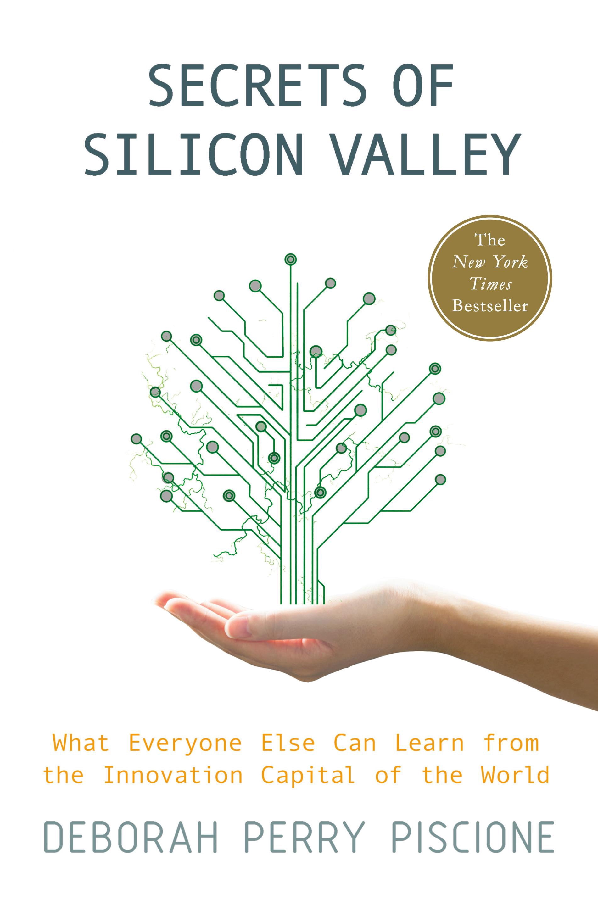 Secrets of Silicon Valley: What Everyone Else Can Learn from the ...