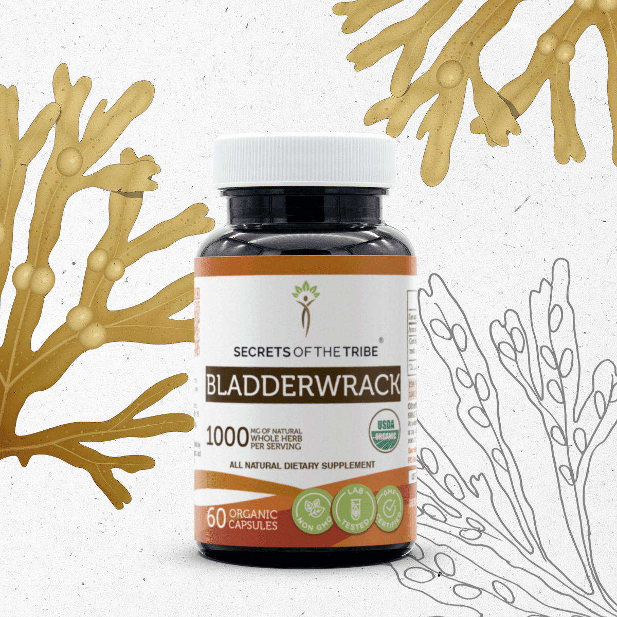 Secrets Of The Tribe Bladderwrack Organic Capsules Dietary Supplement ...
