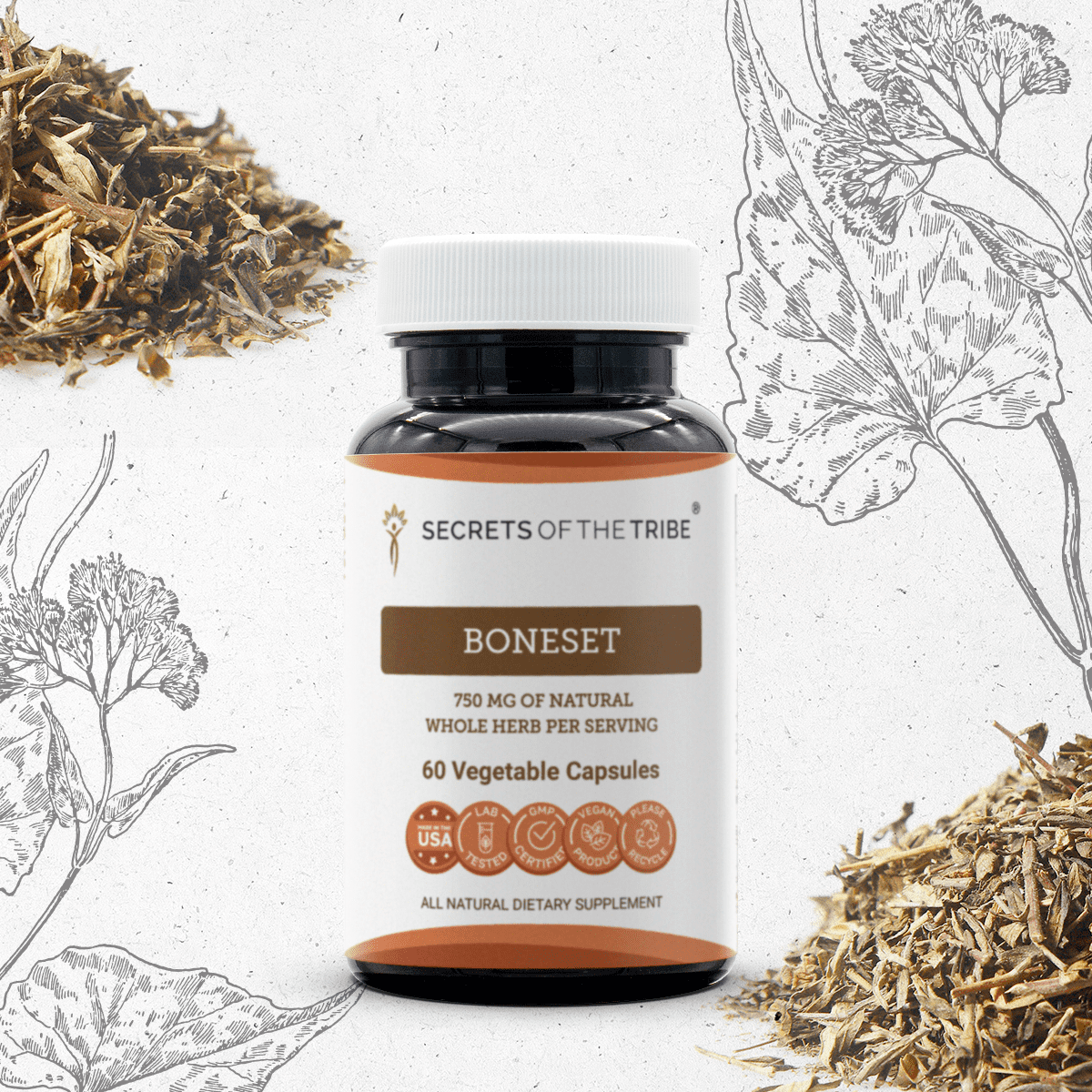 Secrets Of The Tribe Boneset Capsules Dietary Supplement, Natural ...