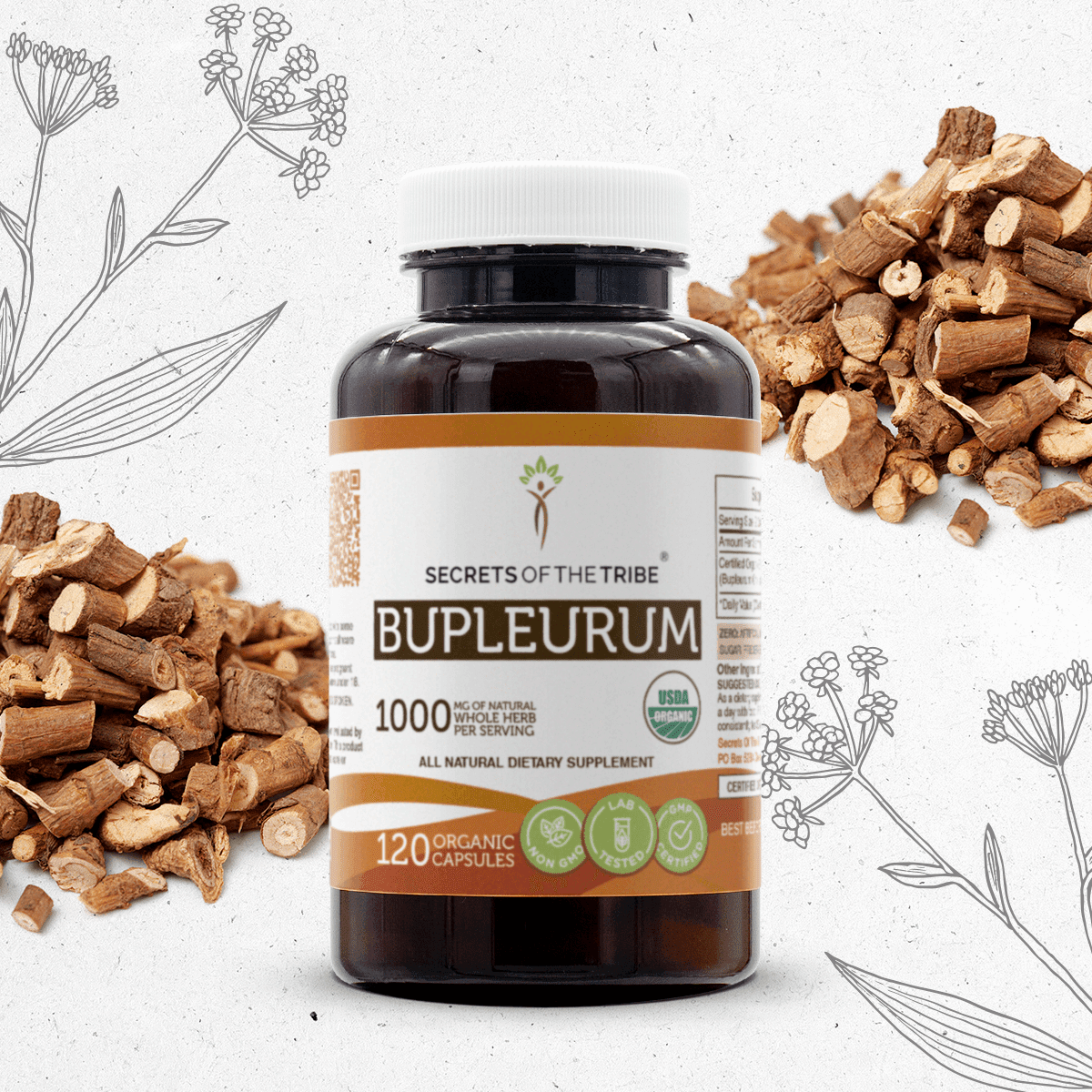 Secrets of the Tribe Bupleurum 120 Capsules, 500 mg, Organic Bupleurum ...