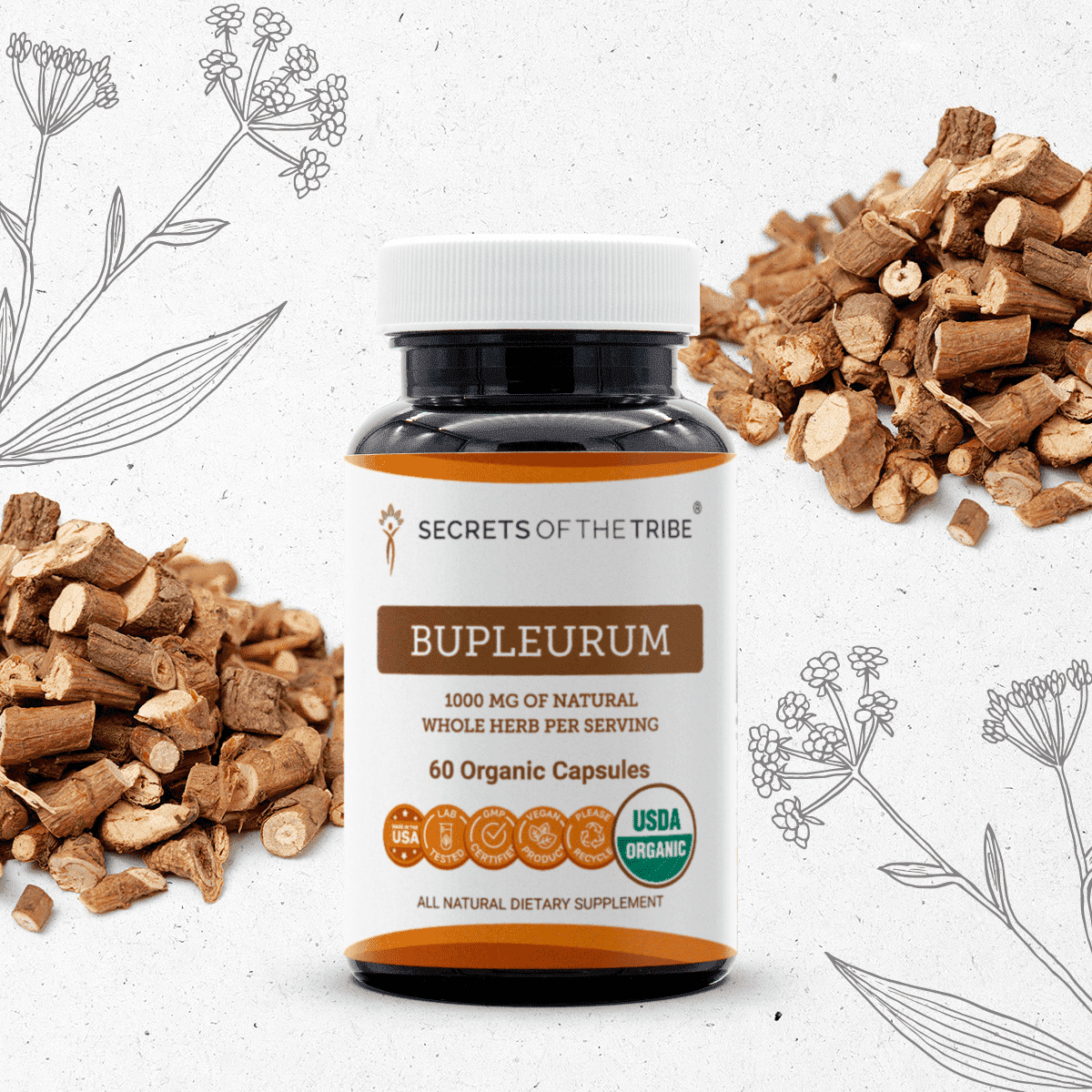 Secrets Of The Tribe Bupleurum Organic Capsules Dietary Supplement ...