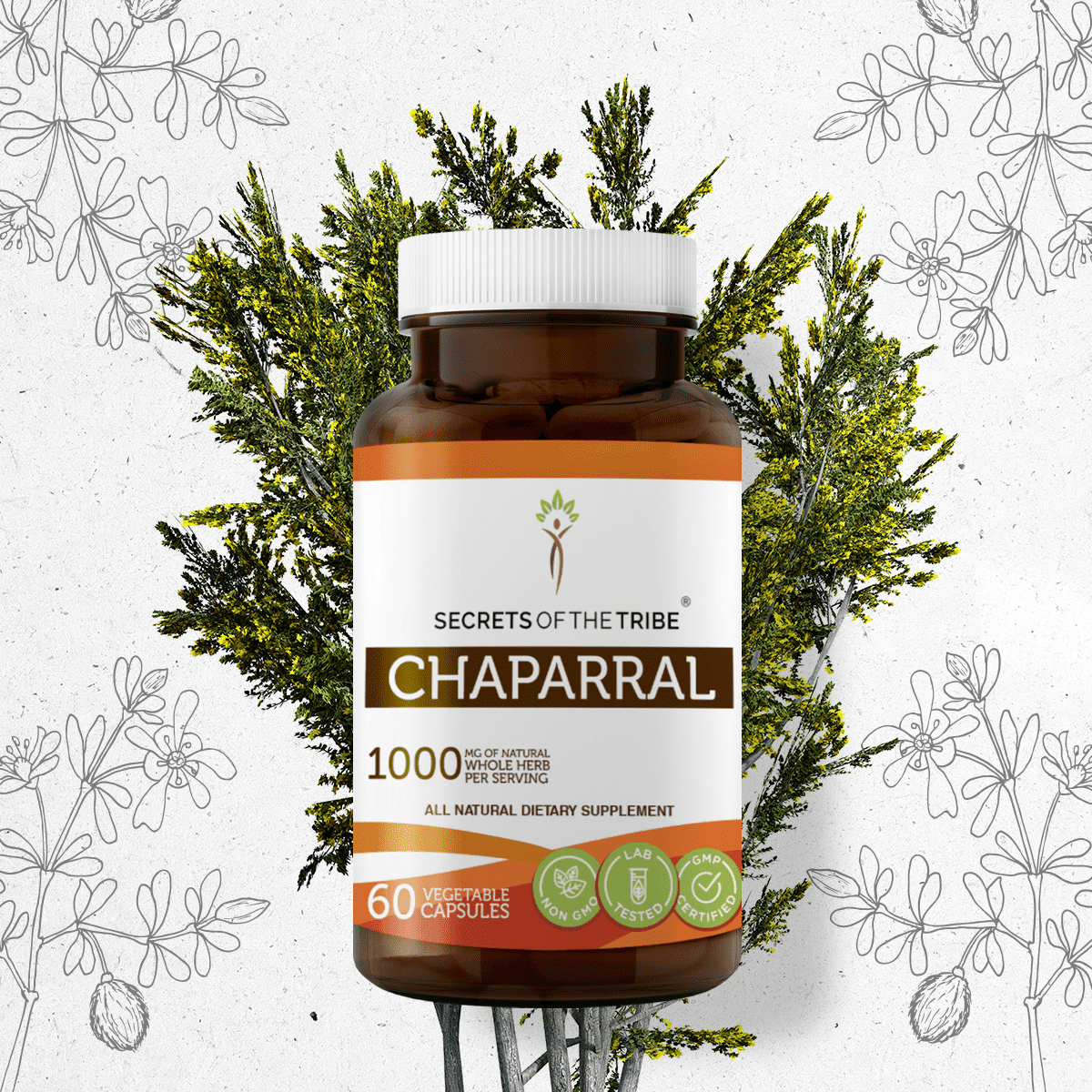 Secrets of the Tribe Chaparral 60 Capsules, 500 mg, Chaparral (Larrea ...
