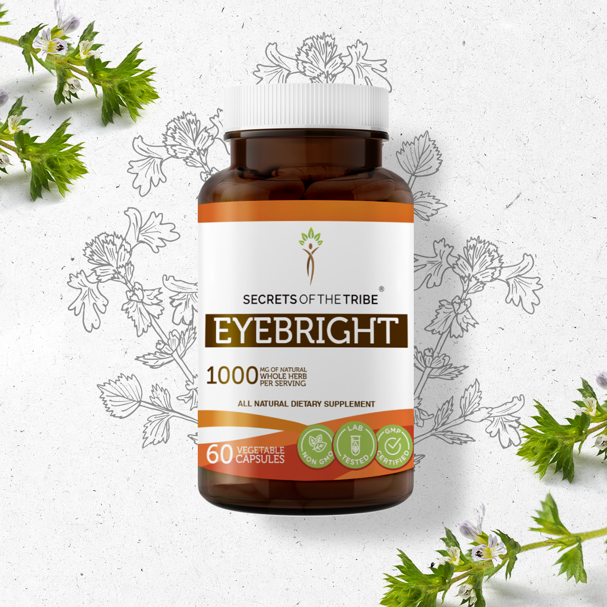 Secrets of the Tribe Eyebright 60 Capsules, 500 mg, Responsibly farmed ...
