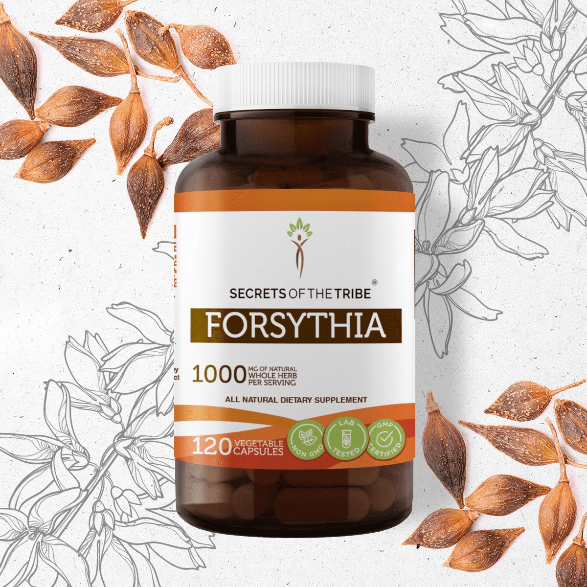 Secrets of the Tribe Forsythia 120 Capsules, 500 mg, Forsythia (Lian ...