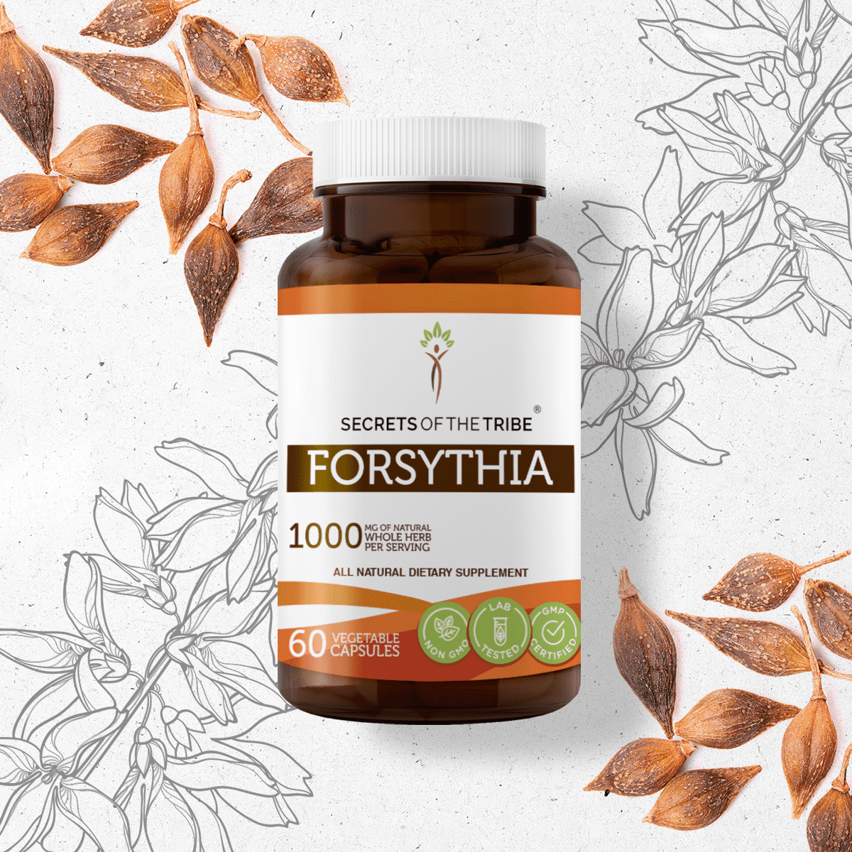 Secrets of the Tribe Forsythia 60 Capsules, 500 mg, Forsythia (Lian ...