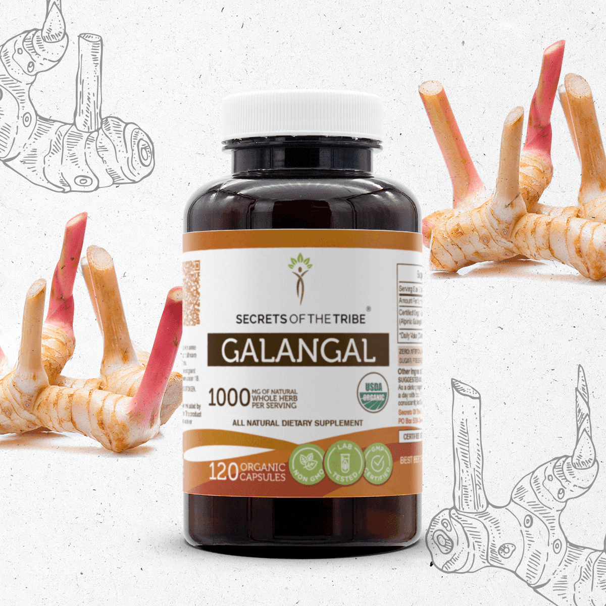 Secrets of the Tribe Galangal 120 Capsules, Organic Galangal (Alpinia ...
