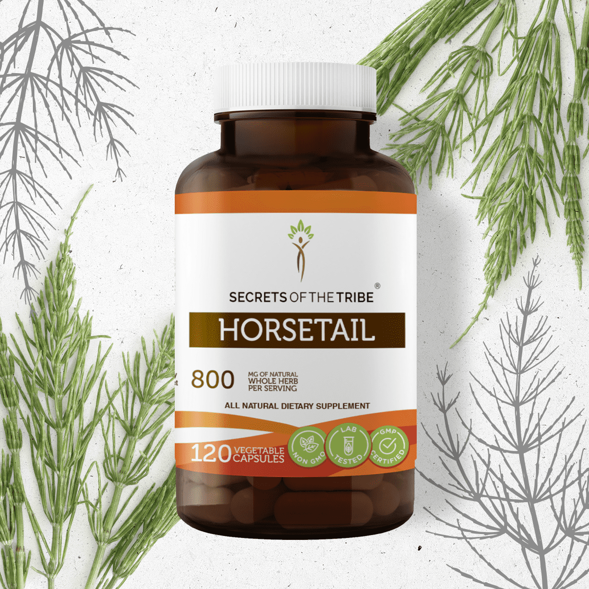 Secrets of the Tribe Horsetail 120 Capsules, 400 mg, Organic Horsetail ...