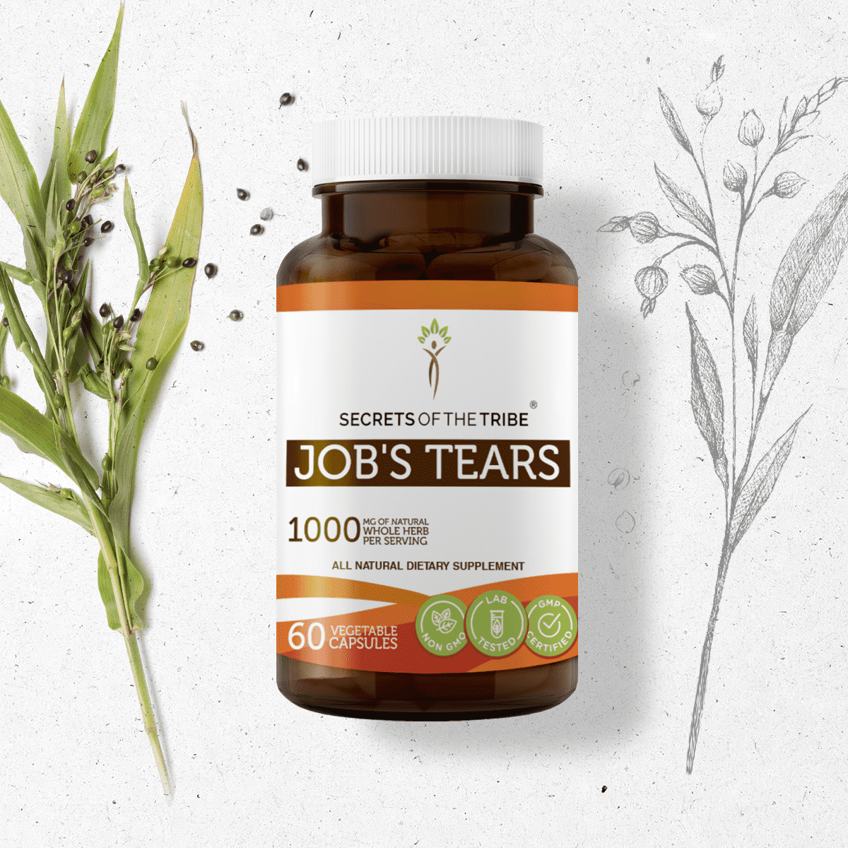 Secrets Of The Tribe Job's Tears Capsules Dietary Supplement, Natural ...