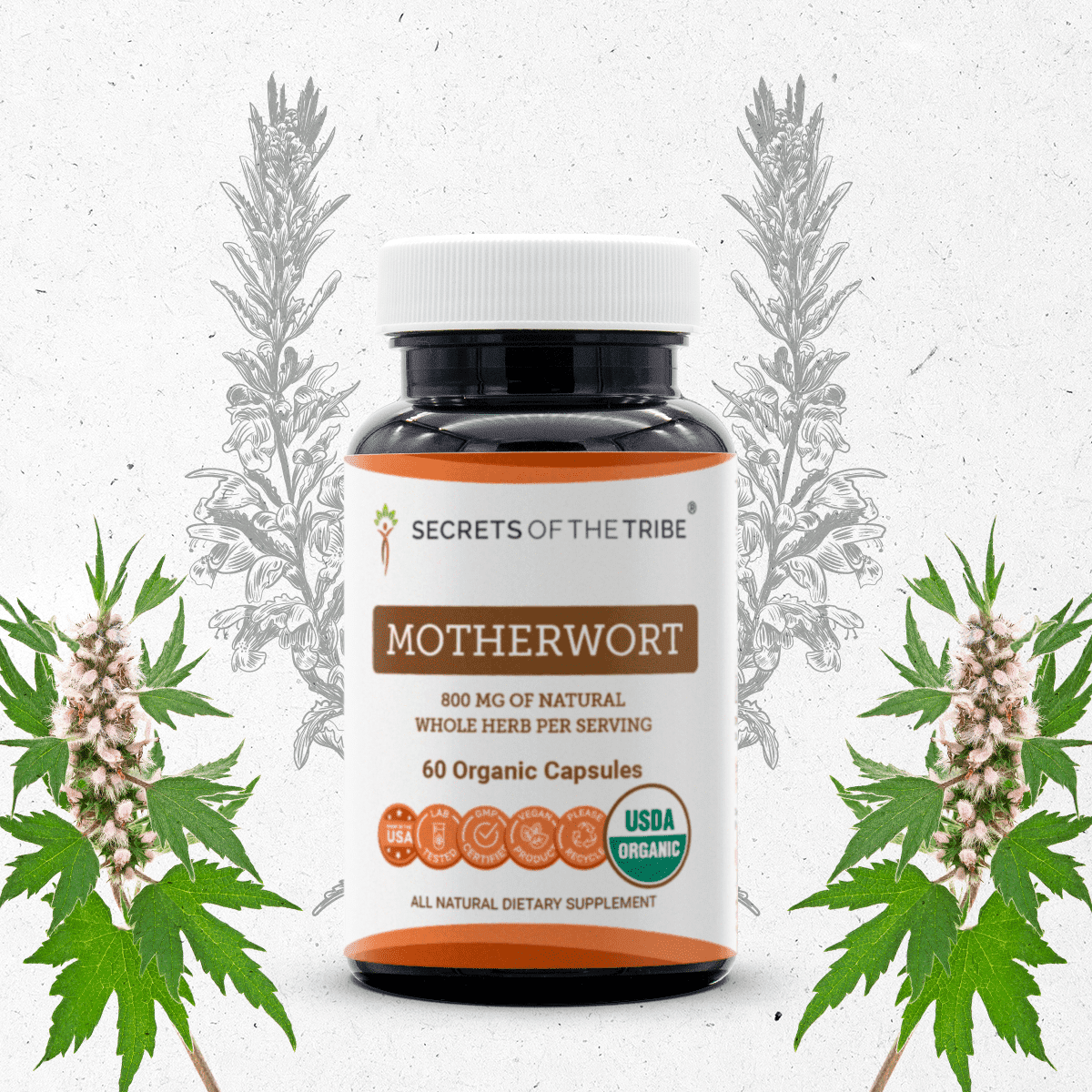 Secrets Of The Tribe Motherwort Organic Capsules Dietary Supplement ...