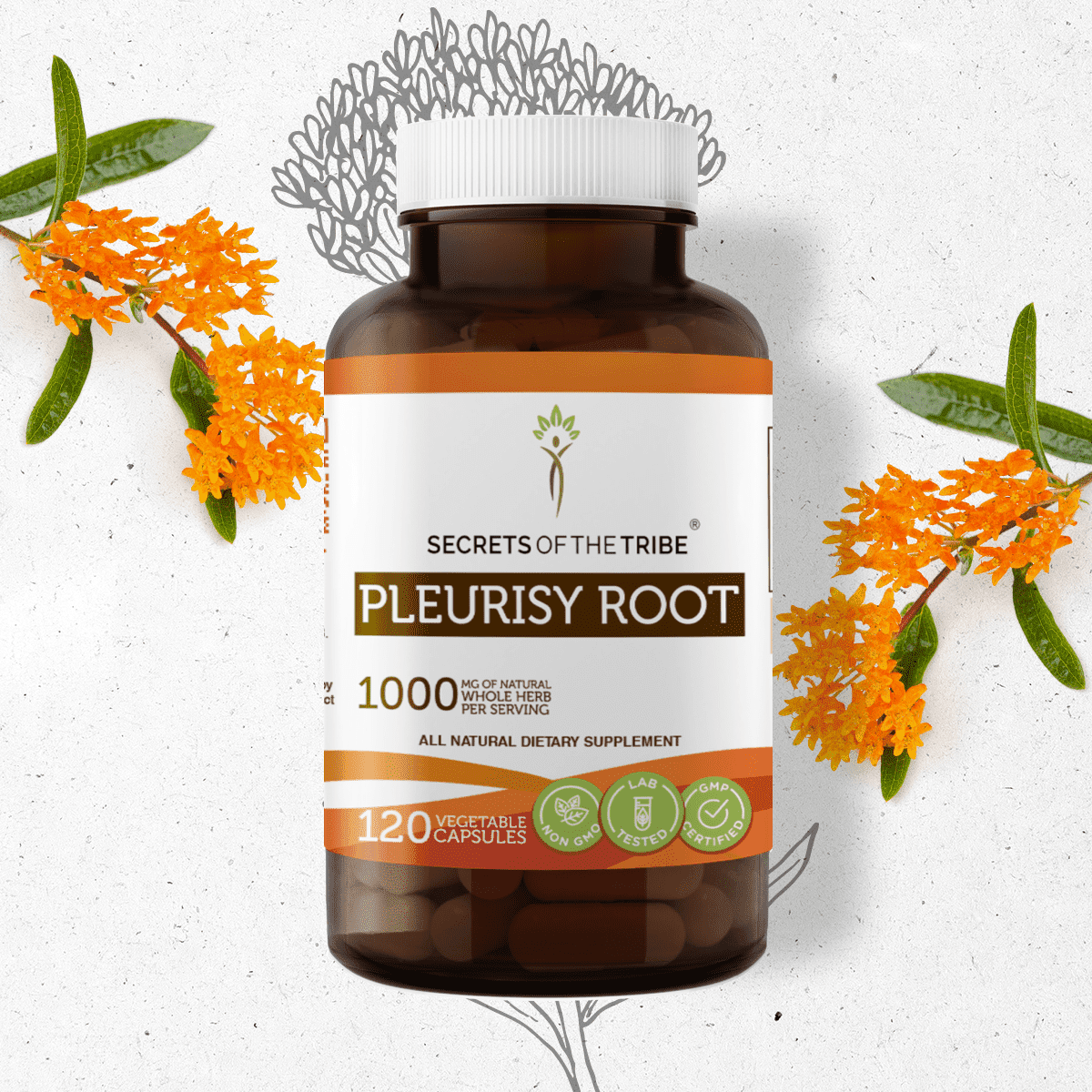 Secrets Of The Tribe Pleurisy Root Capsules Dietary Supplement, Natural ...