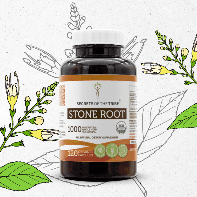 Secrets of the Tribe Stone Root 120 Capsules, 500 mg, Organic Stone ...