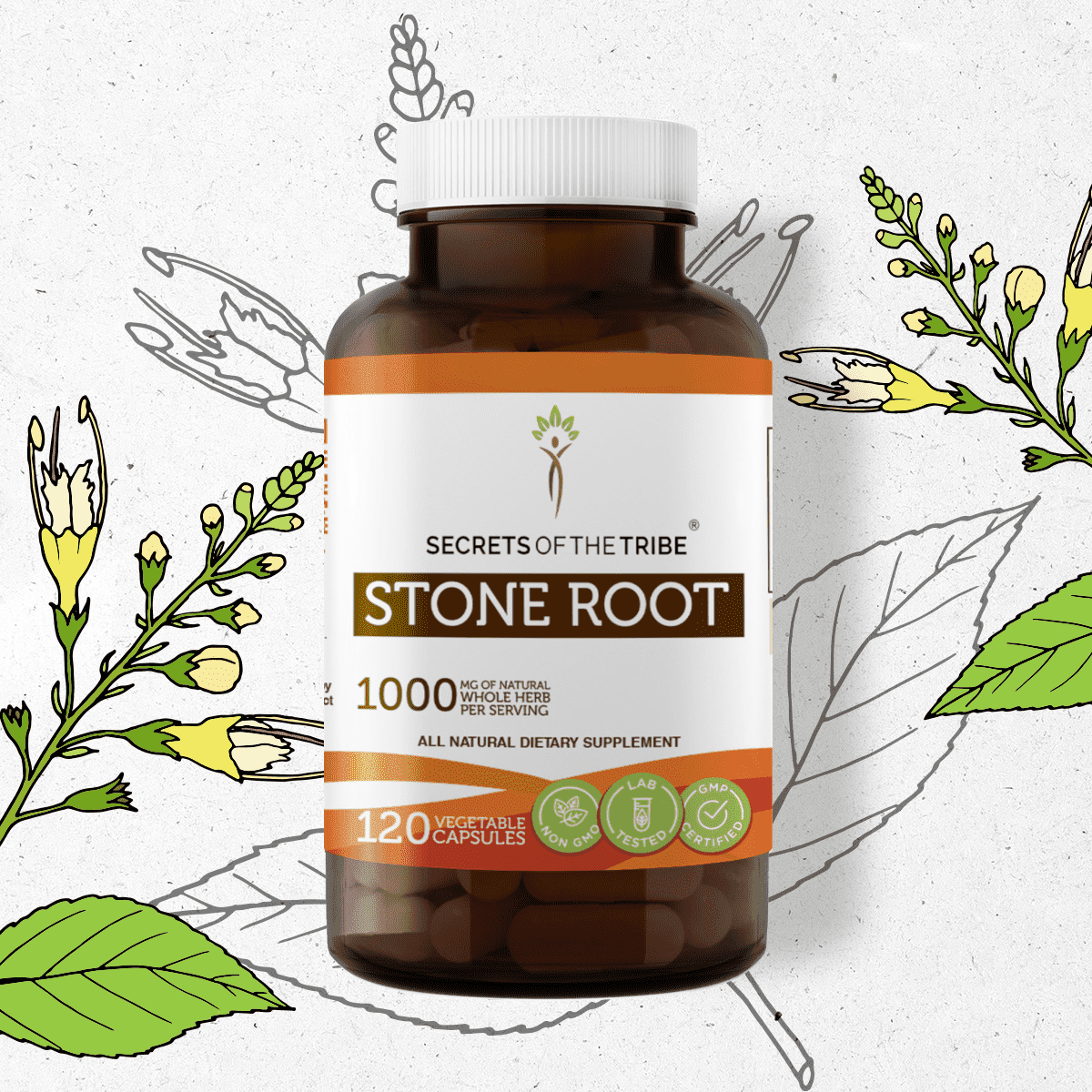 Secrets Of The Tribe Stone Root Capsules Dietary Supplement, Natural Herbal Capsules for ...