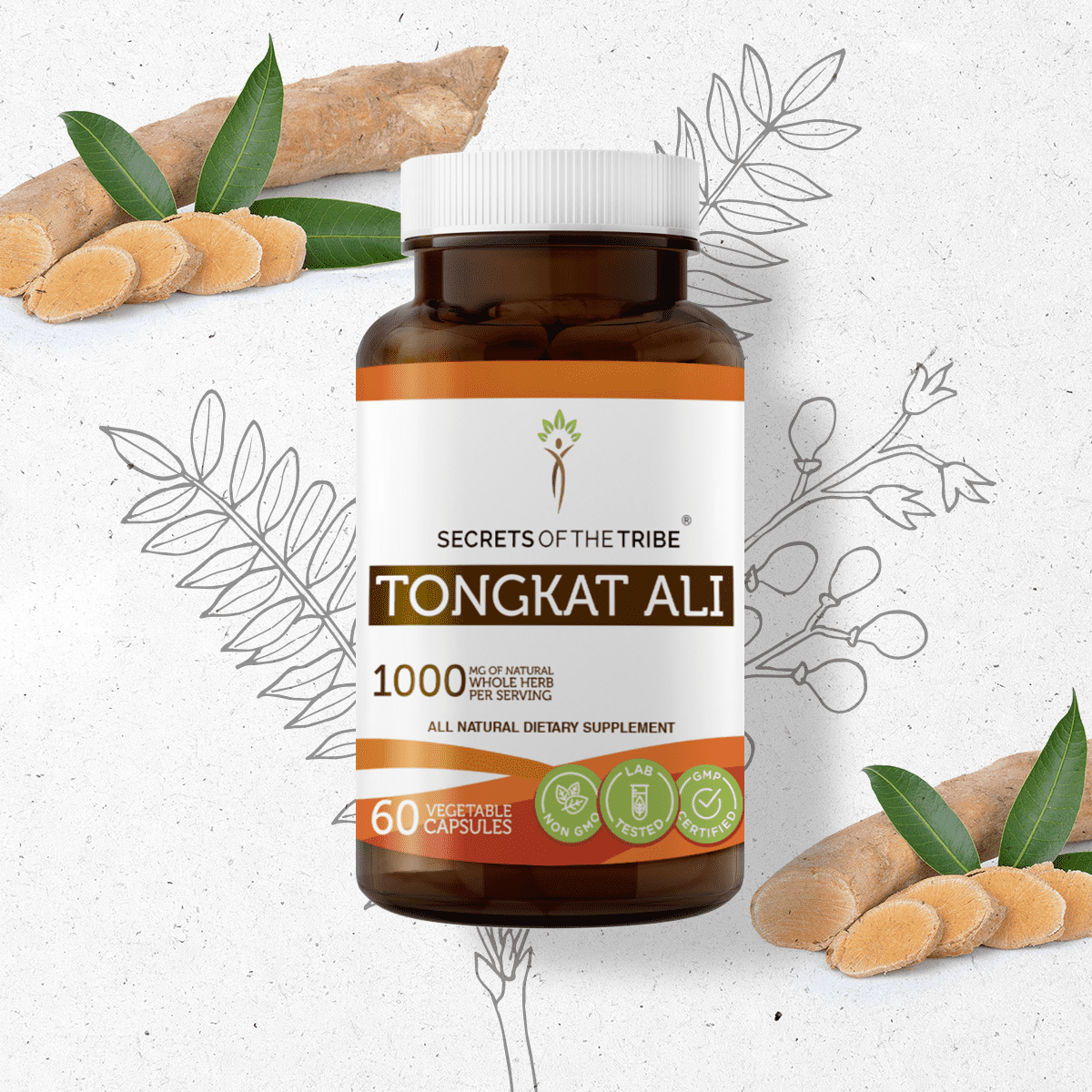 Secrets of the Tribe Tongkat Ali 60 Capsules, Eurycoma Longifolia May ...