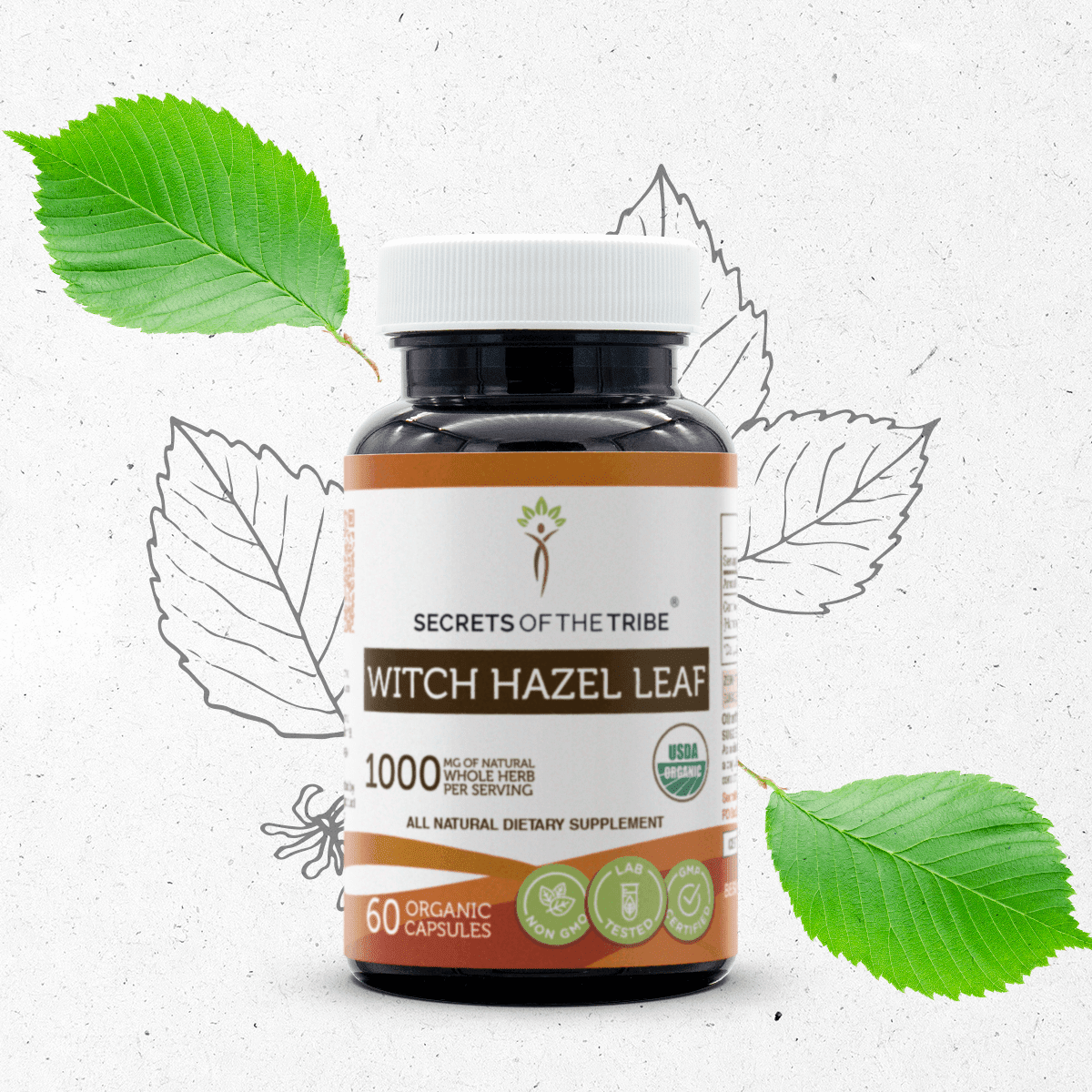 Secrets of the Tribe Witch Hazel Leaf 60 Capsules, 500 mg, Organic ...