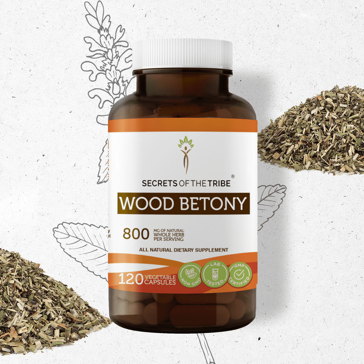 Secrets of the Tribe Wood Betony 120 Capsules, 400 mg, Wood Betony ...