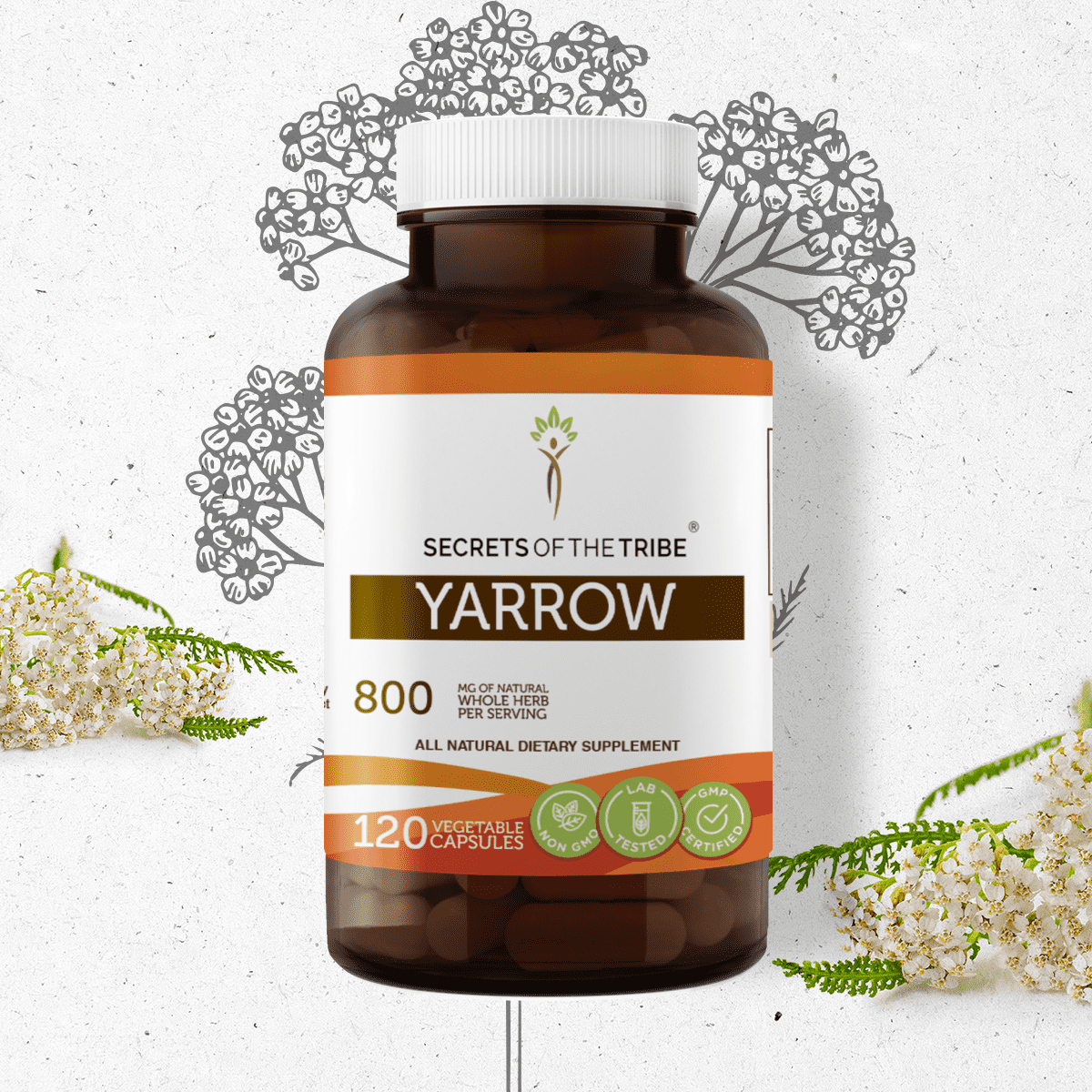 Secrets of the Tribe Yarrow 120 Capsules, 400 mg, Organic Yarrow ...