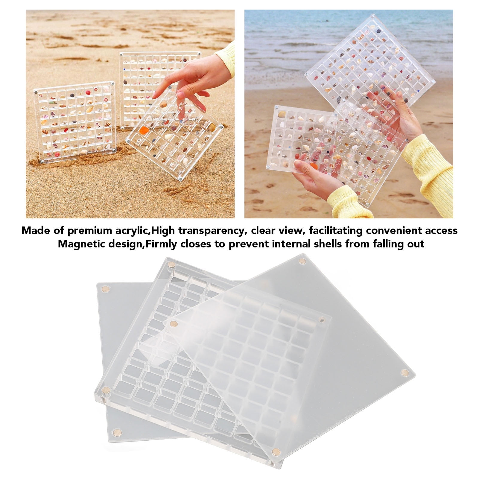 Secure Magnetic Shell Collection Case, Durable Acrylic Construction For ...