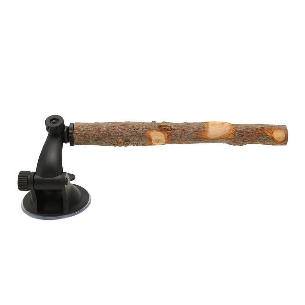 Secure Sturdy and Engaging Wooden Bird Window Stand with Suction Cups ...