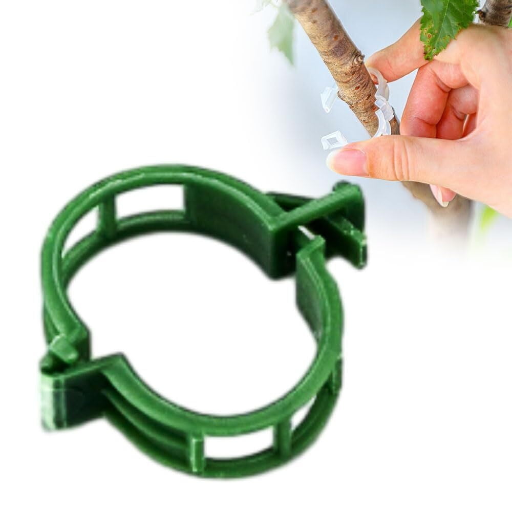 Secured Plant Clips for Climbing Plants Small Trellis Clips for Tomato ...