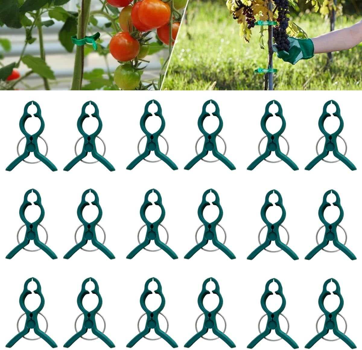 Secured Plastic Clips, Support Clips Clips for Climbing , Fixing Clips ...