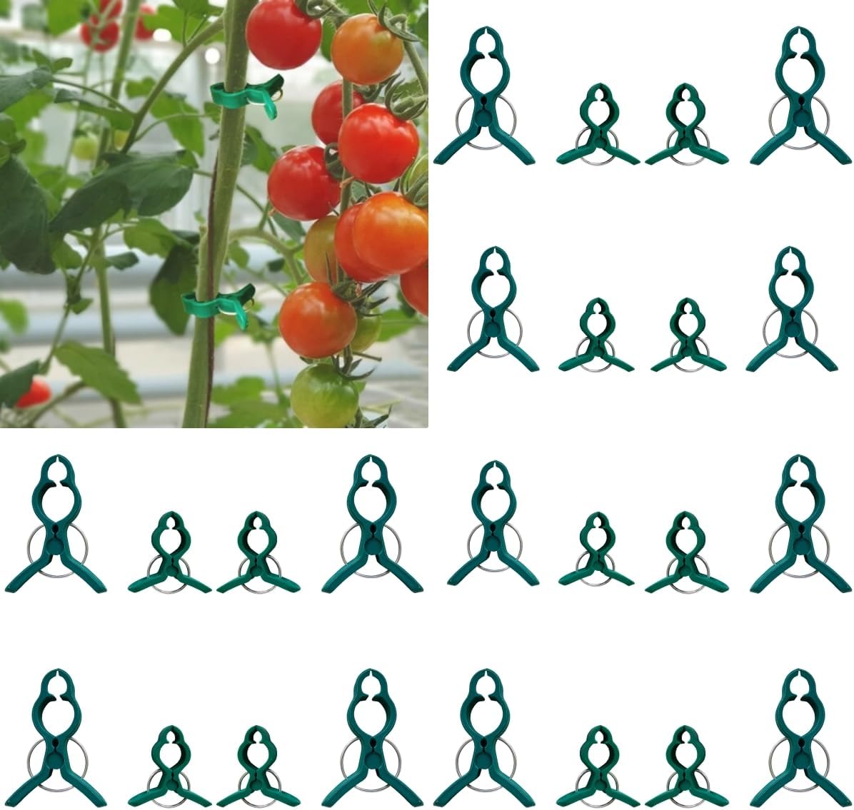 Secured Plastic Clips for Climbing , Support and Fixing Clips for ...