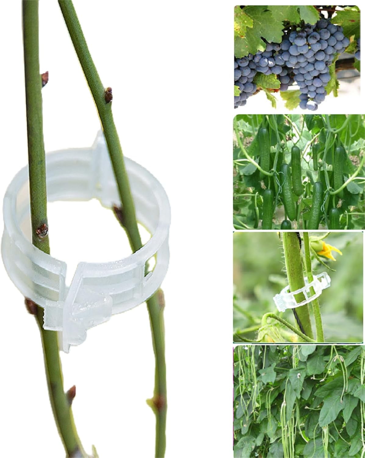Secured Plastic Plant Clip, 2024 Upgrade Plant Support Clips, Garden ...