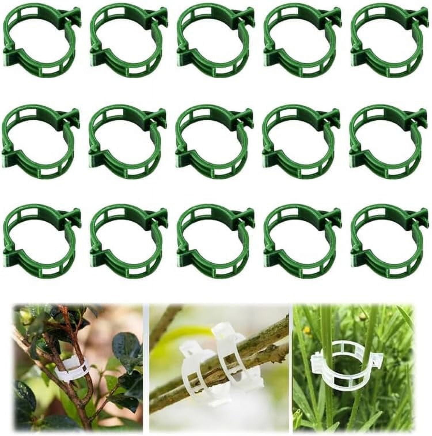 Secured Plastic Plant Clip, 2025 New Plant Support Clips, Garden Clips ...