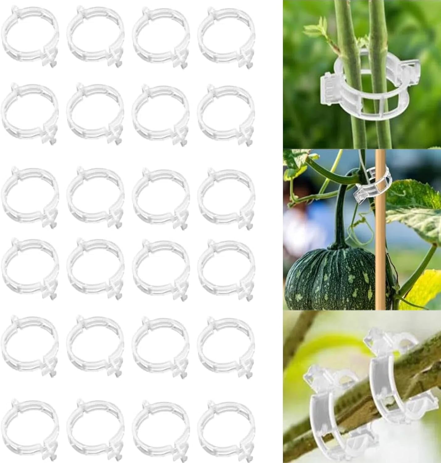 Secured Plastic Plant Clip, 2025 New Plant Support Clips Reusable ...