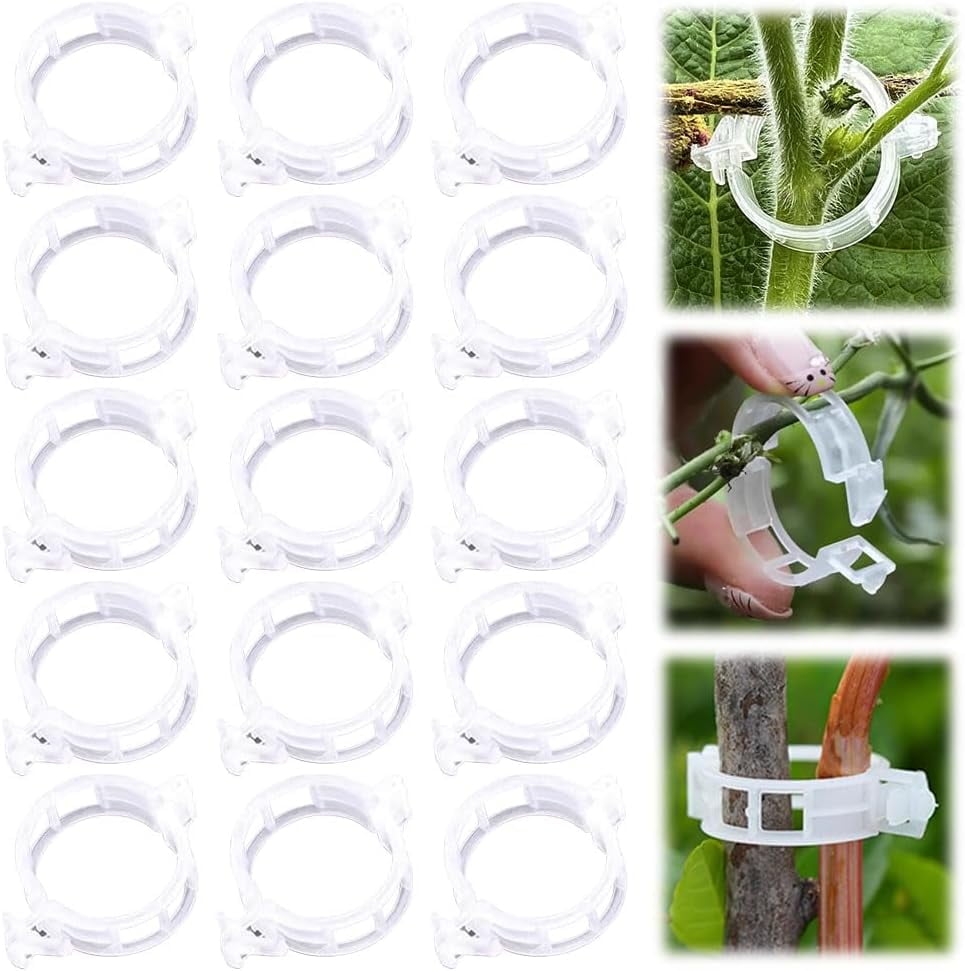 Secured Plastic Plant Clip, 2025 Upgrade Plant Support Clips Reusable ...