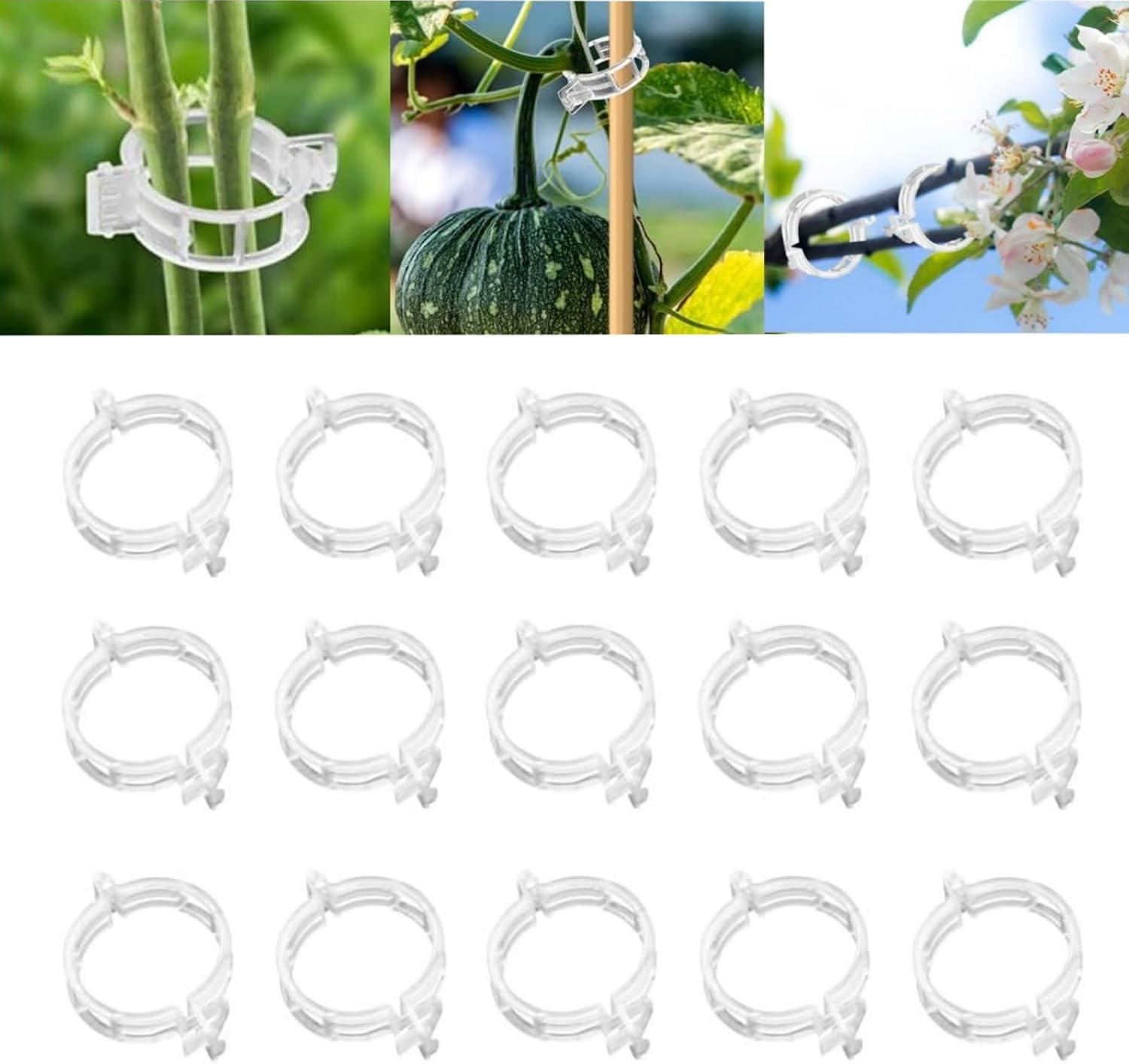Secured Plastic Plant Clip, Plant Fixing Clips for Climbing Plants ...