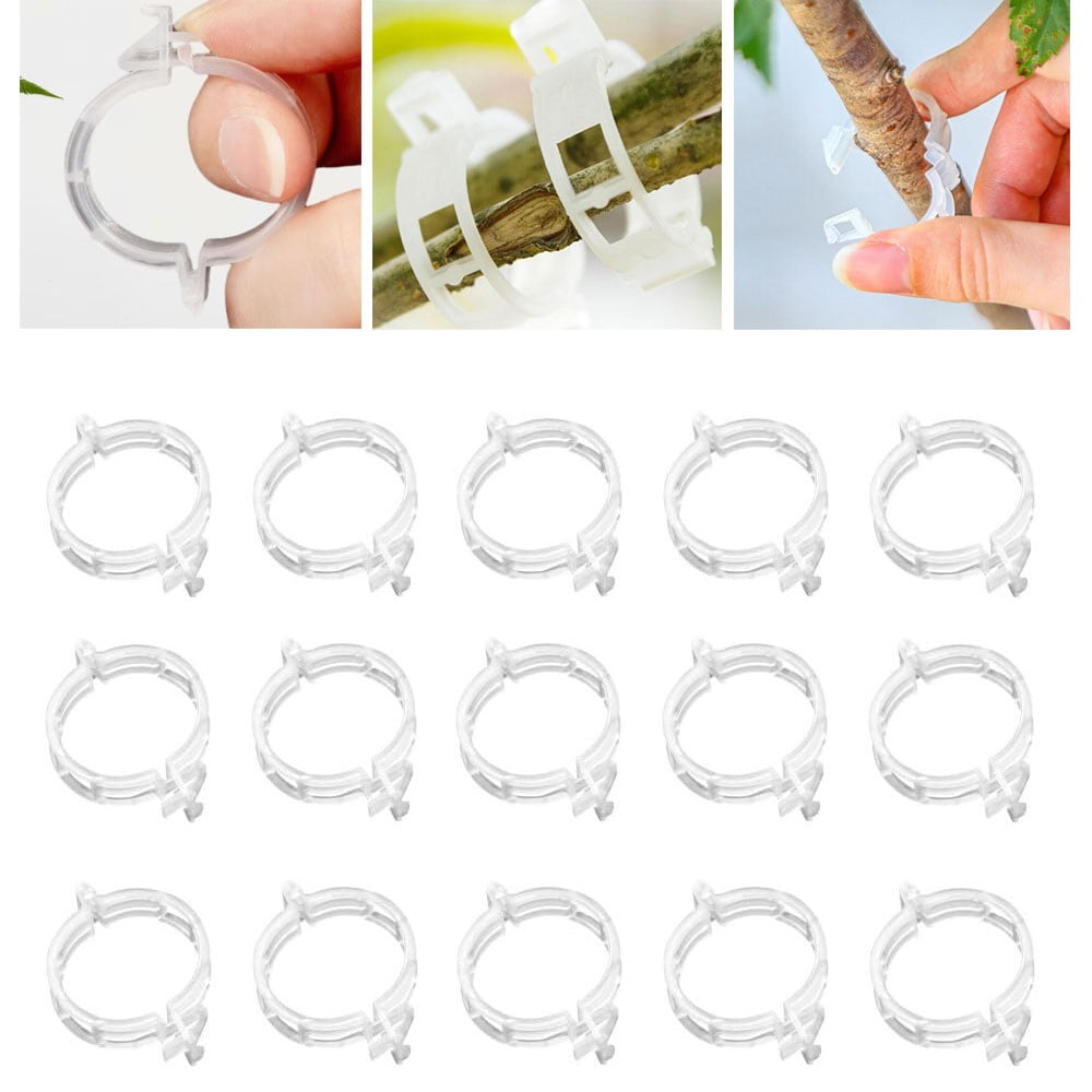 Secured Plastic Plant Support Clips Garden Clips for Climbing Plants ...