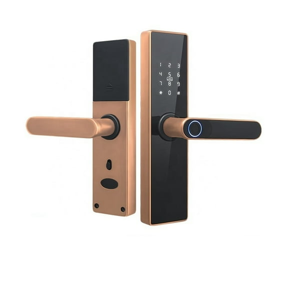 Security Biometric Fingerprint Smart Door Handle Tuya Electronic ...