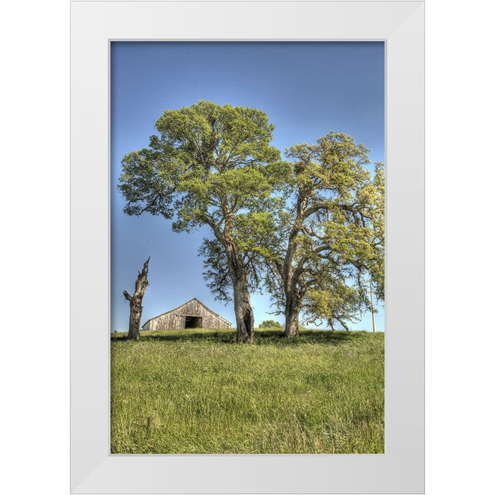 Sederquist, Betty 11x14 White Modern Wood Framed Museum Art Print ...