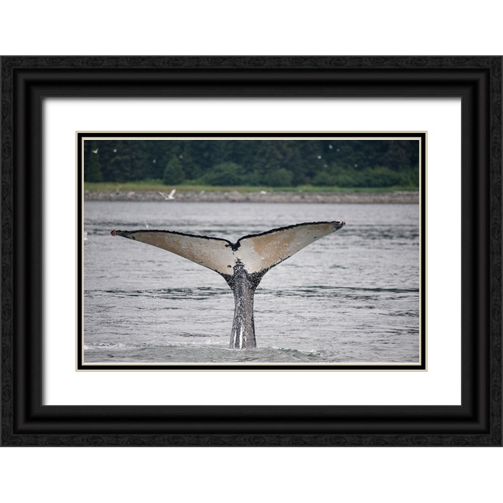 Sederquist, Betty 14x11 Black Ornate Wood Framed with Double Matting ...