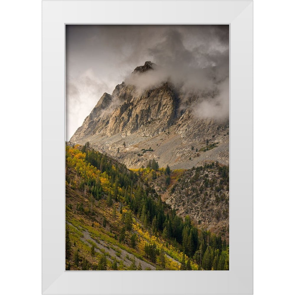 Sederquist, Betty 23x32 White Modern Wood Framed Museum Art Print ...