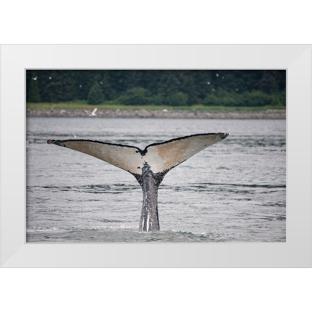 Sederquist, Betty 32x23 White Modern Wood Framed Museum Art Print ...