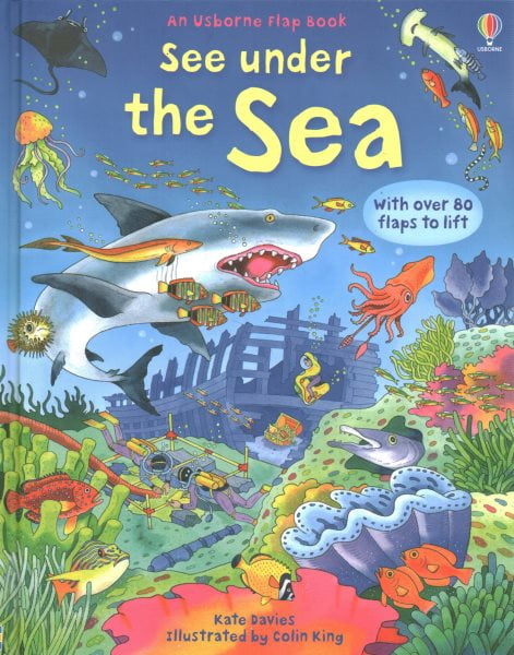 Pre-Owned See Inside: See Under the Sea (Board Book) - Walmart.com