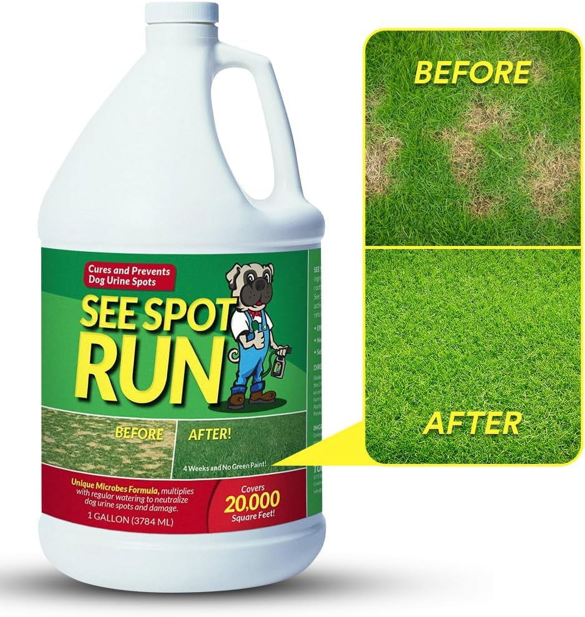 See Spot Run Eliminate Yellow Spots On Your Lawn Caused By Dog Urine ...