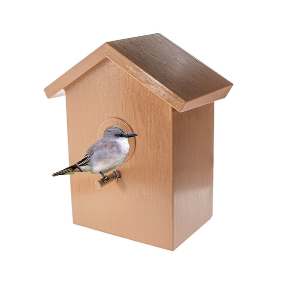 Walmart 2 Way See Through Mirrored Bird House - Window Mounted Nesting ...