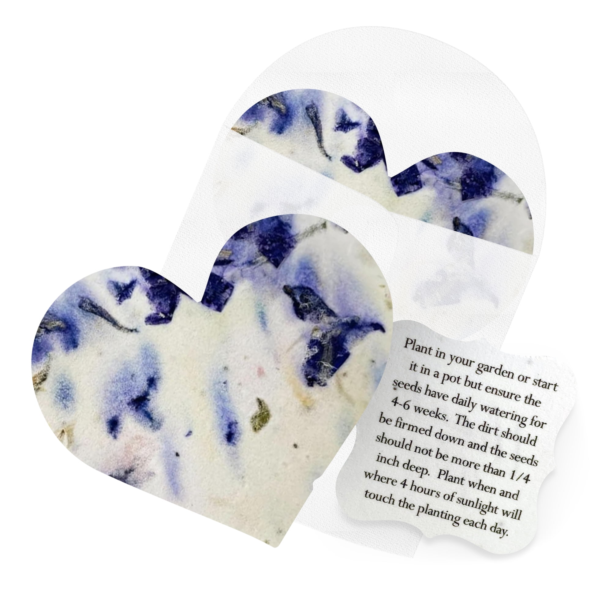 Seed Bloom Set of 24 Purple Heart – Plantable Seed Paper for Bridal ...