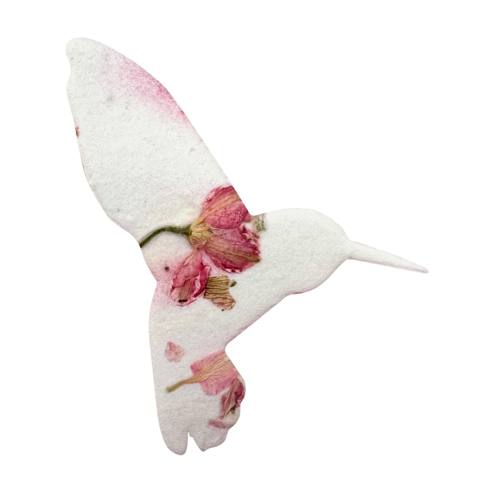 Seed Bloom 24pcs AJH3 Hummingbird Seed Paper - Plantable Seed Paper ...