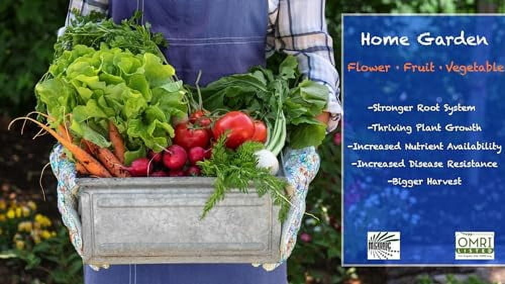 Seed Inoculant - Organic Fertilizer for Soil Health and Strong ...