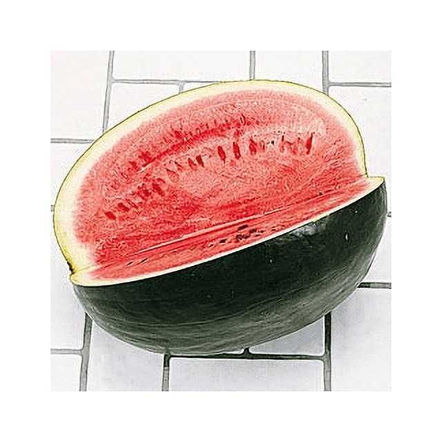 Seed Kingdom Watermelon Black Diamond Great Heirloom Vegetable Bulk 1 ...
