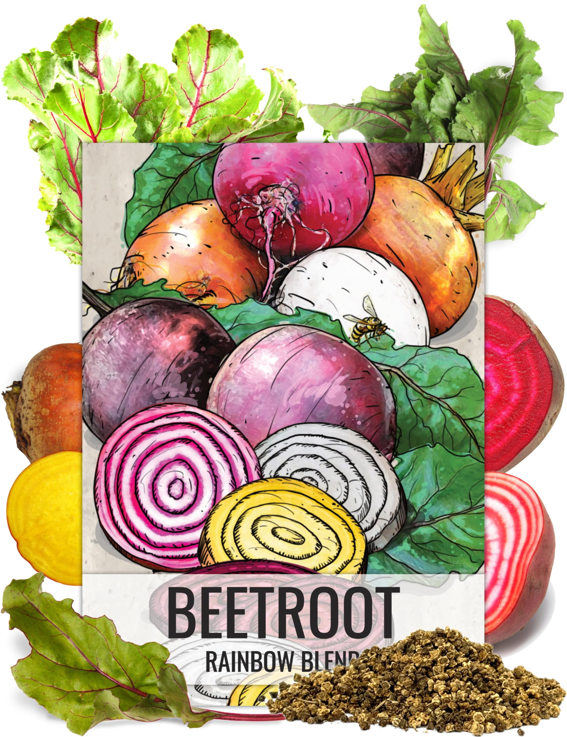 Golden Beets Beet Seeds - Boro Untreated Non-GMO Variety Beet Seeds - Non-GMO - 50 Sugar Beet Seeds