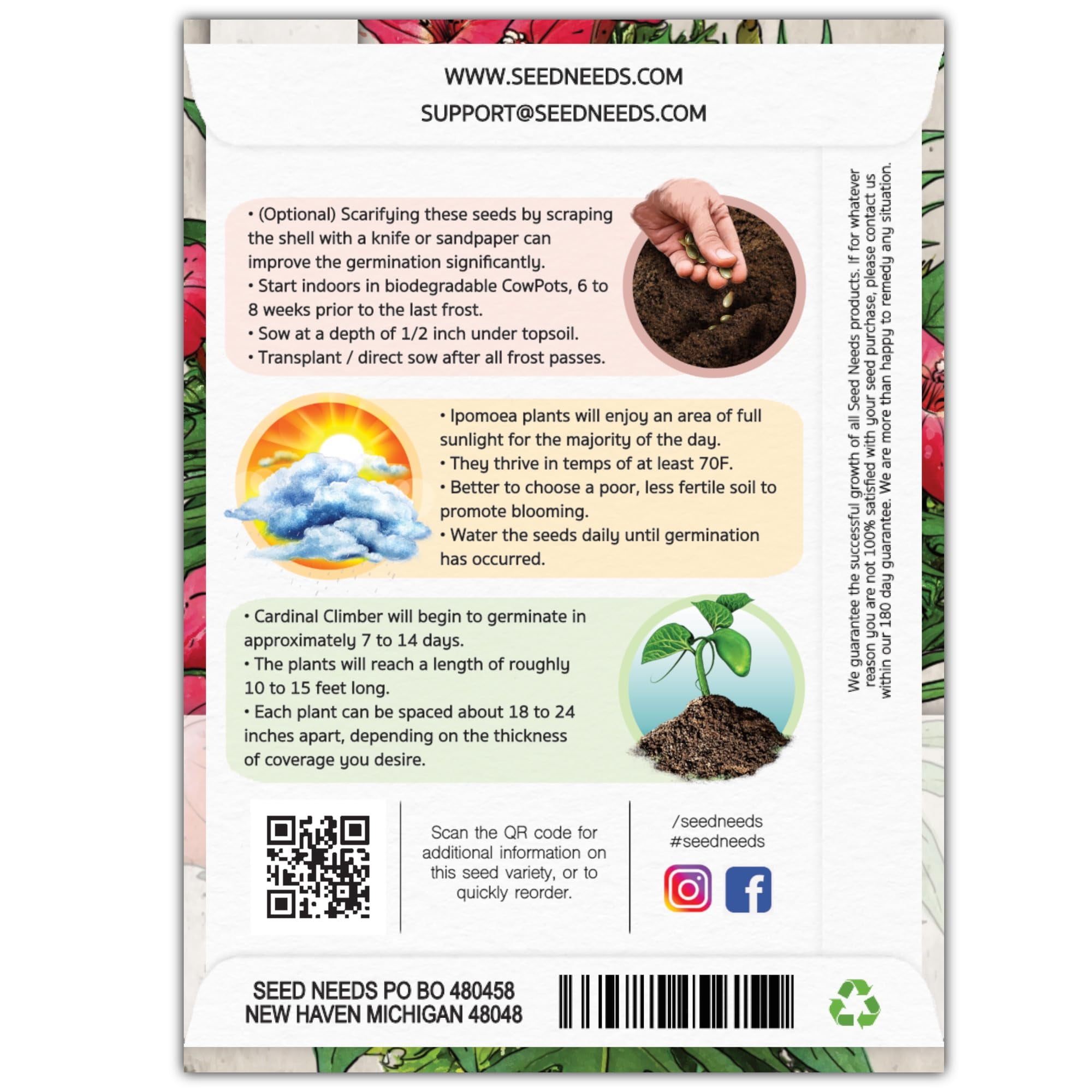 Seed Needs, Cardinal Climber Seeds - 100 H2FSDHeirloom Seeds for ...
