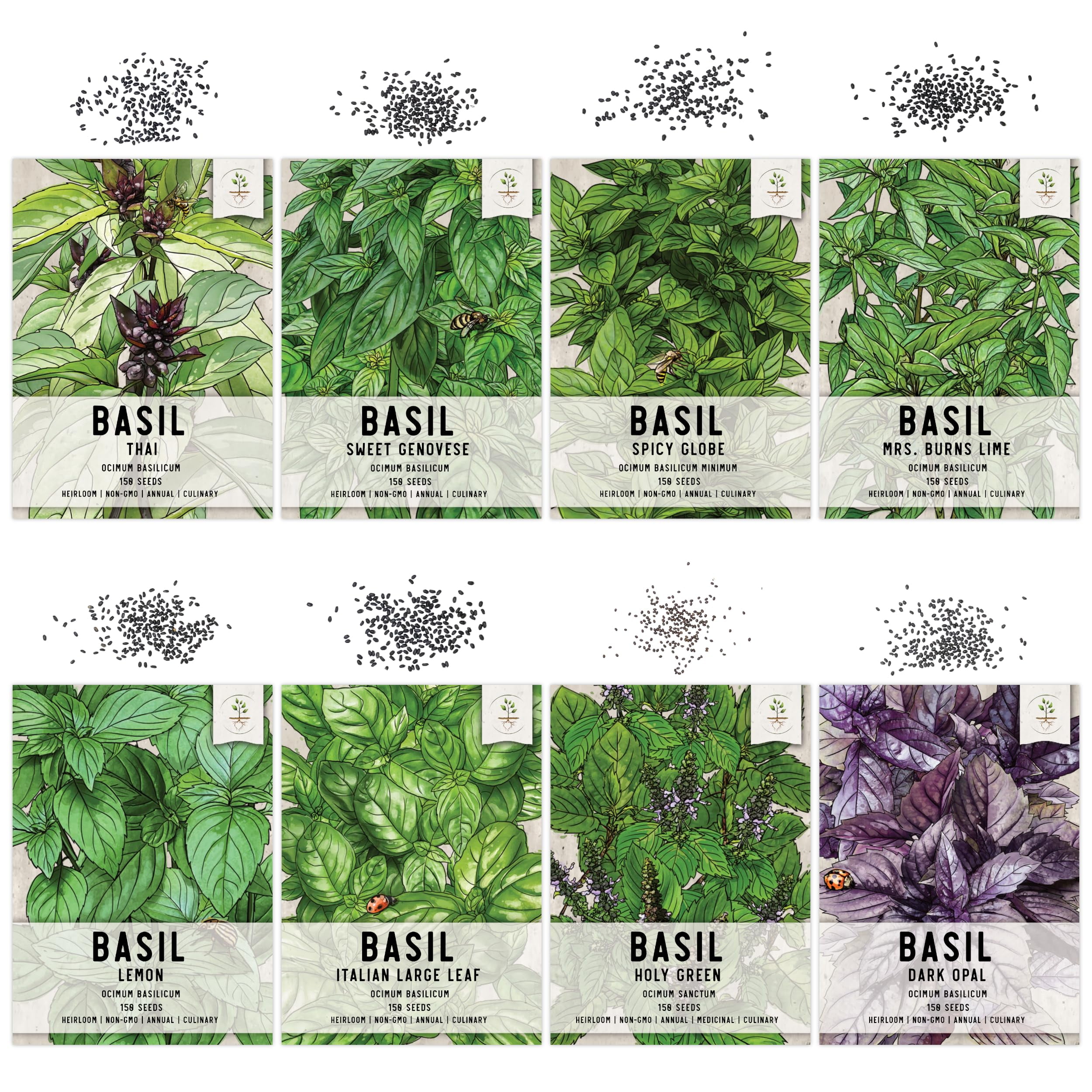 Seed Needs, Culinary Basil Herb Seed Packet H2FSDCollection (8 ...