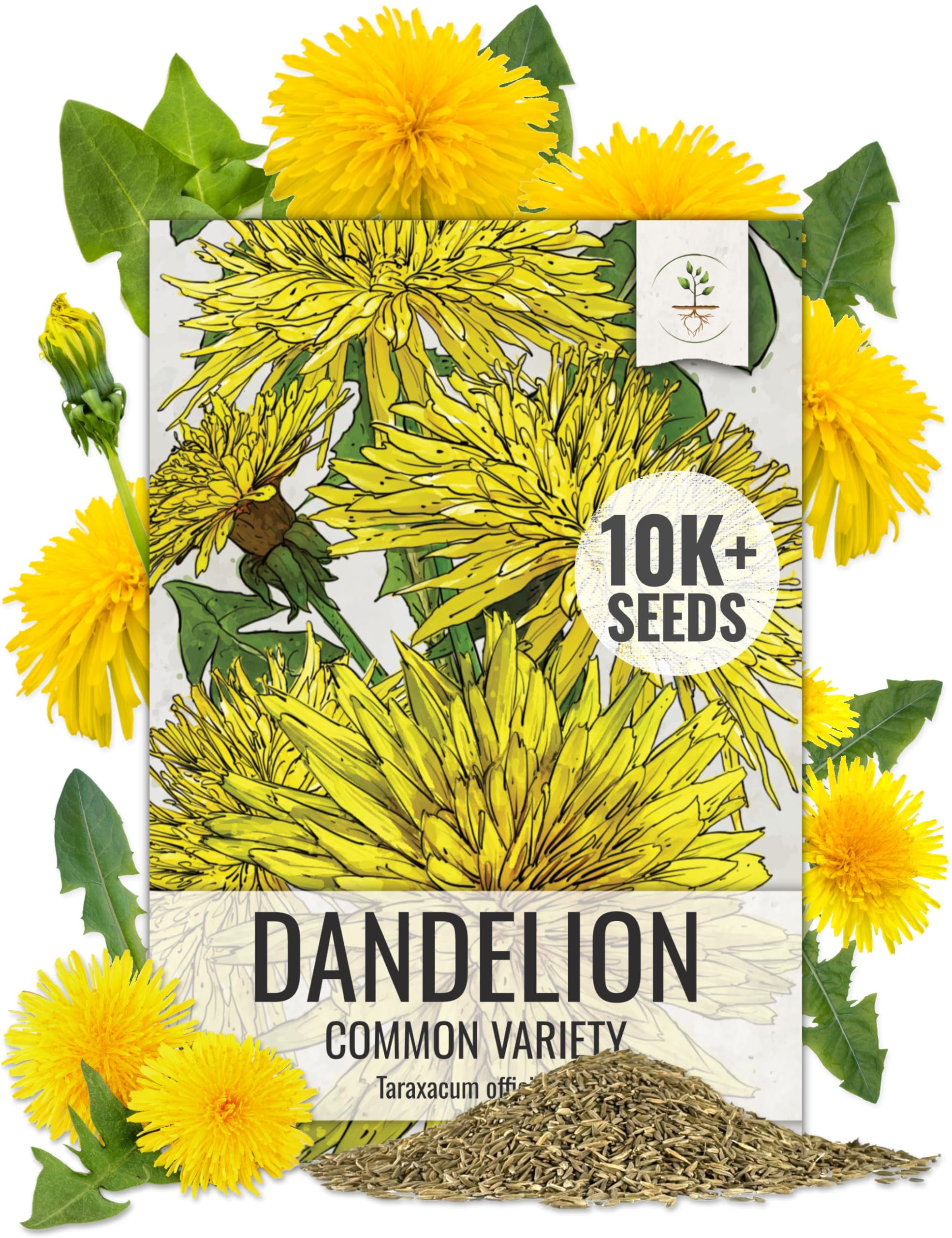 Seed Needs Herb TWE5 Seeds Common Dandelion | Non GMO Heirloom ...
