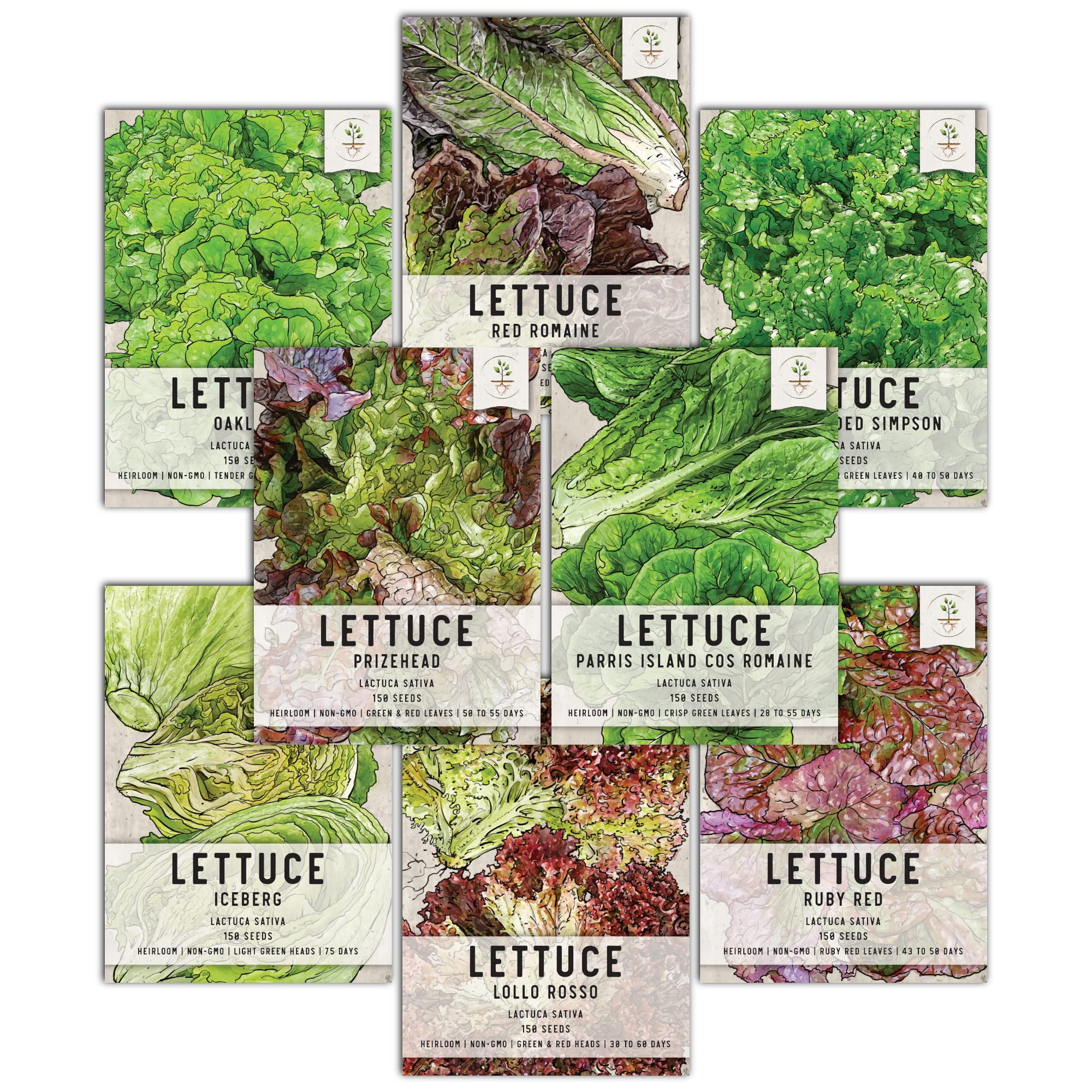 Seed Needs, Lettuce TWE5 Seeds Variety Pack (Lettuce Lovers Collection ...